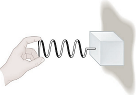 To measure the static friction coefficient between a 1.6 kg block and a ...