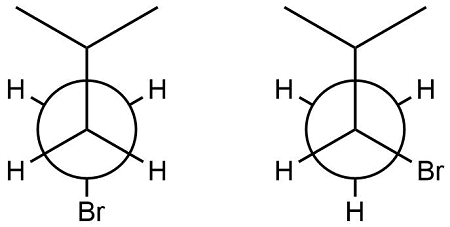 Which term best describes the relationship between the following ...