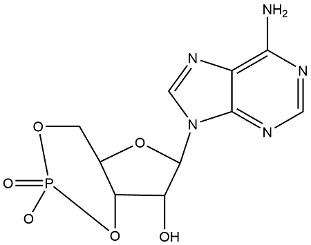 Highlight the stereogenic sp3 hybridized atoms in the following ...
