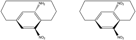 The below-mentioned molecules are similar. Under each molecule, state ...
