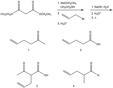 What is the major organic product obtained from the following sequence ...