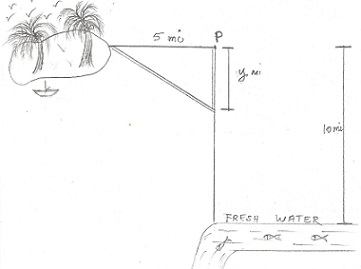 A small resort is situated on an island that lies exactly 5 miles from ...