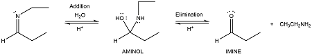 Provide a six-step reaction sequence for the hydrolysis of an imine ...