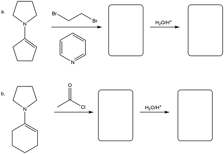 Provide a detailed mechanism of the following transformation reaction ...
