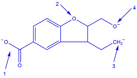 Which of the indicated functional groups or ions in the image below is ...