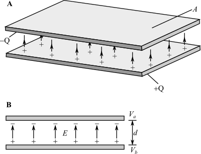 Which of the following statement/statements is/are correct about a ...