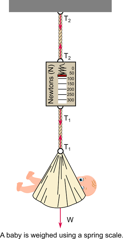 Consider the baby being weighed in the given figure. What is the ...