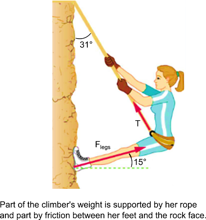 Consider the 52.0-kg mountain climber in the given figure. Find the ...