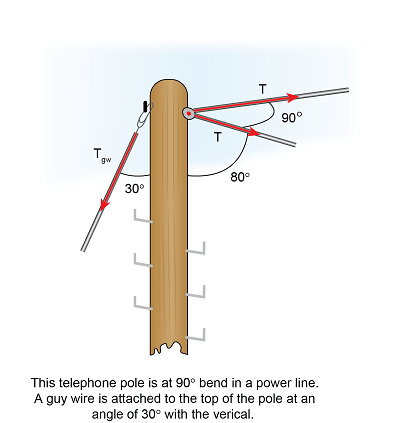 As the pole in the given figure is at a 90.0[{MathJax fullWidth='false ...