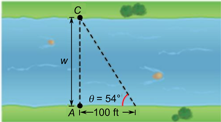 Width of a River A biologist wants to know the width w of a river so ...