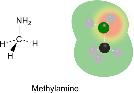 Look at the following electrostatic potential map of methylamine, a ...