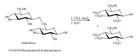 Gentiobiose, a rare disaccharide found in saffron and gentian, is a ...