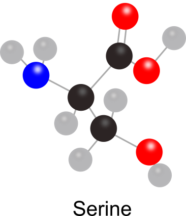 Assign R or S configurations to the chirality centers in the following ...