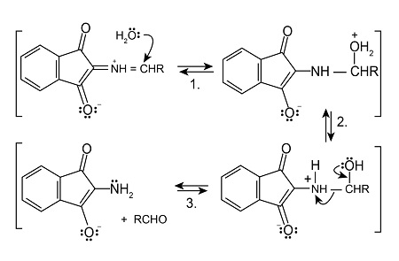 The reaction of ninhydrin with an a-amino acid occurs in several steps ...