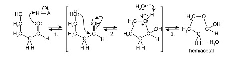 When 4-hydroxybutanal is treated with methanol in the presence of an ...