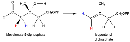 The conversion of mevalonate 5-phosphate to isopentenyl diphosphate ...