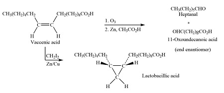 Vaccenic acid, C_18H_34O_2, is a rare fatty acid that gives heptanal ...