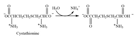 The amino acid cysteine, C_3H_7NO_2S, is biosynthesized from a ...