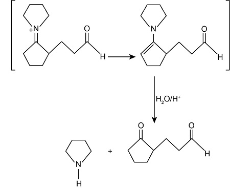 Enamine Hydrolysis