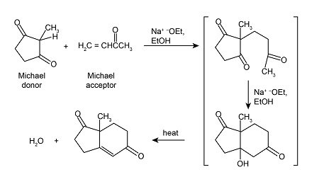 What product would you expect from a Robinson annulation reaction of 2 ...