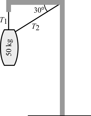 In the figure below, an object is held by two cords. Compute the ...