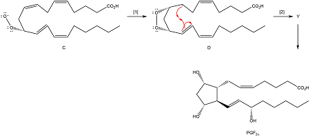 PGF2alpha is synthesized in cells using a cyclooxygenase enzyme that ...