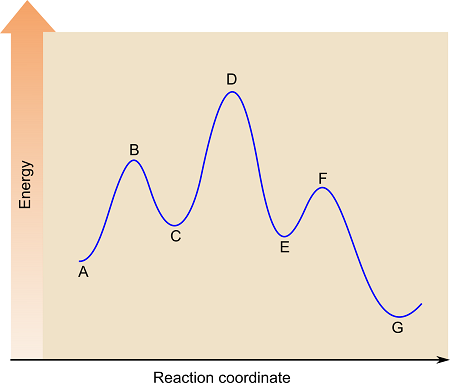 Consider the following energy diagram for the conversion of A to G ...