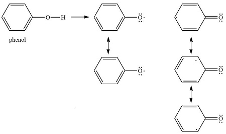 Phenol Complexes Proposed Conformations Molecular Quantum Stability ...
