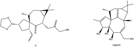 What product is formed by ring-closing metathesis of compound V, a key ...