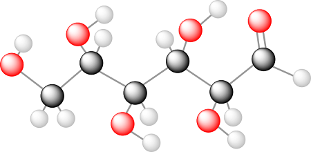Convert the ball-and-stick model to a Fischer projection. | Homework ...