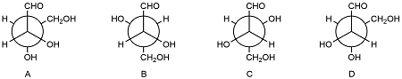 Consider Newman projections (A-D) for four-carbon carbohydrates. How is ...