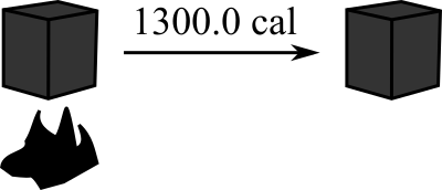 1300.0 calories are used to raise the temperature of a 50.0 g block of ...