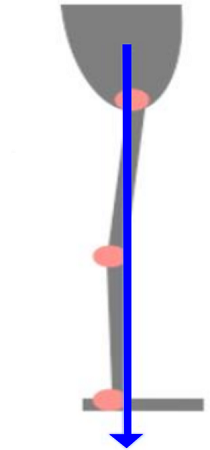 The image below shows how the line of gravity falls in an ideal posture ...