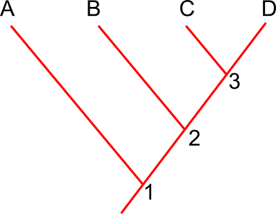 Node 3 represents the common ancestor of which species? A. C and D B ...