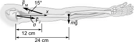The total mass of the arm shown in the figure is 3.0 kg. Determine the ...