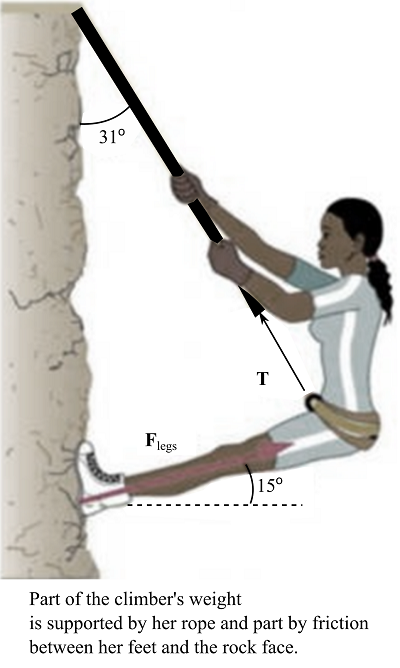 Consider the 52.0 kg mountain climber in the figure below. Find the ...