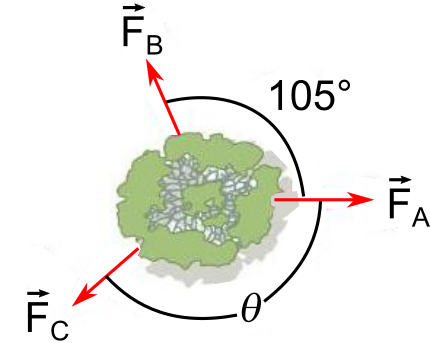 As shown in the figure below, three forces are applied to a tree ...