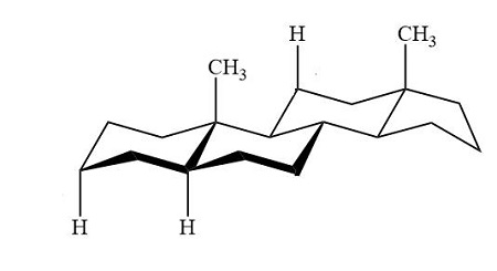 Tell whether the following substituent on a steroid is axial or ...