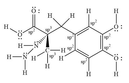 Use the ball-and-stick model to answer the question about carbidopa, a ...