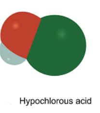 Determine the formula weight (molecular mass) of the depicted common ...