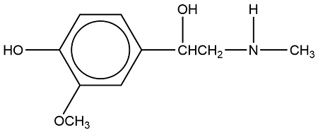 Identify and name the following functional group. | Homework.Study.com