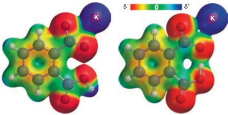 Consider the two electrostatic charge potential plots for potassium ...