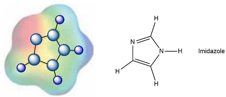 The organic compound imidazole can act as both an acid and a base. Look ...