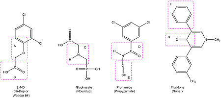 Identify missing functional groups A to G on the popular herbicides ...
