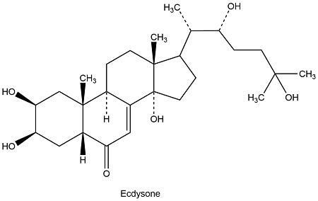 Interfering with ecdysone, the molting hormone for insects, is a common ...
