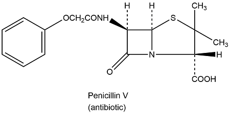 Penicillin V is a broad-spectrum antibiotic that contains three ...