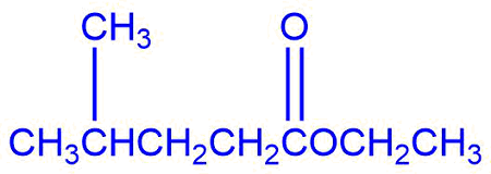 Show two ways to make the given ester: | Homework.Study.com