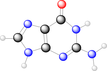 Identify the given base and tell whether it is found in DNA, RNA, or ...
