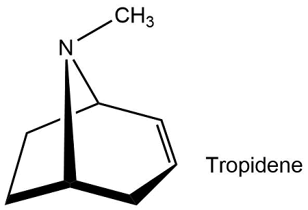 Atropine is a poisonous alkaloid that can be obtained from the roots ...