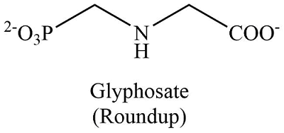 Glyphosate is a widely used herbicide that blocks EPSP synthase ...